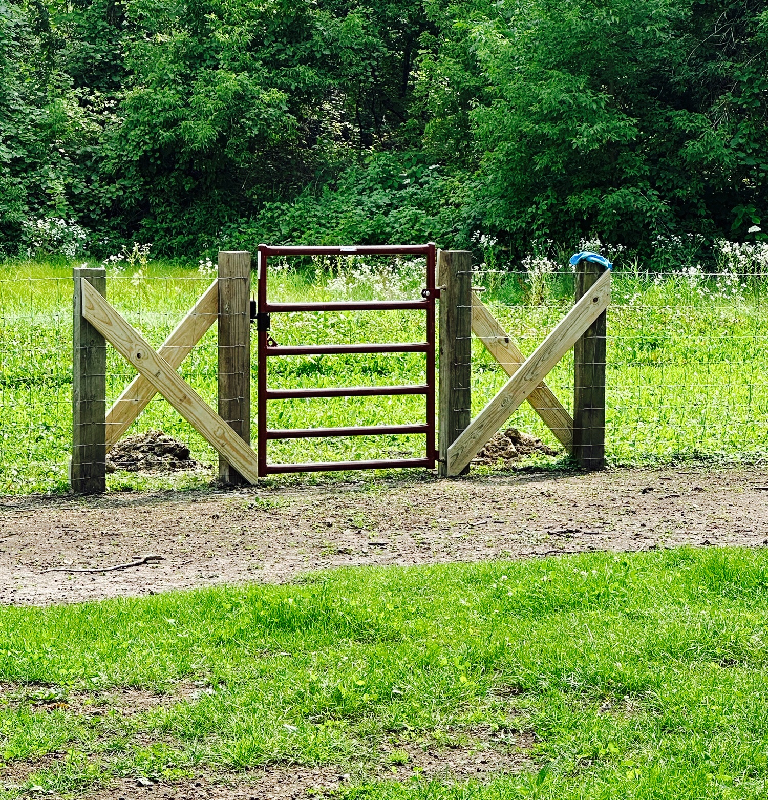 The Gate – A Weekly Walk in the Word